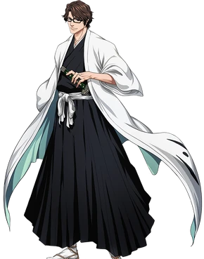 Aizen | Bleach : Immortal Soul Wiki | Fandom