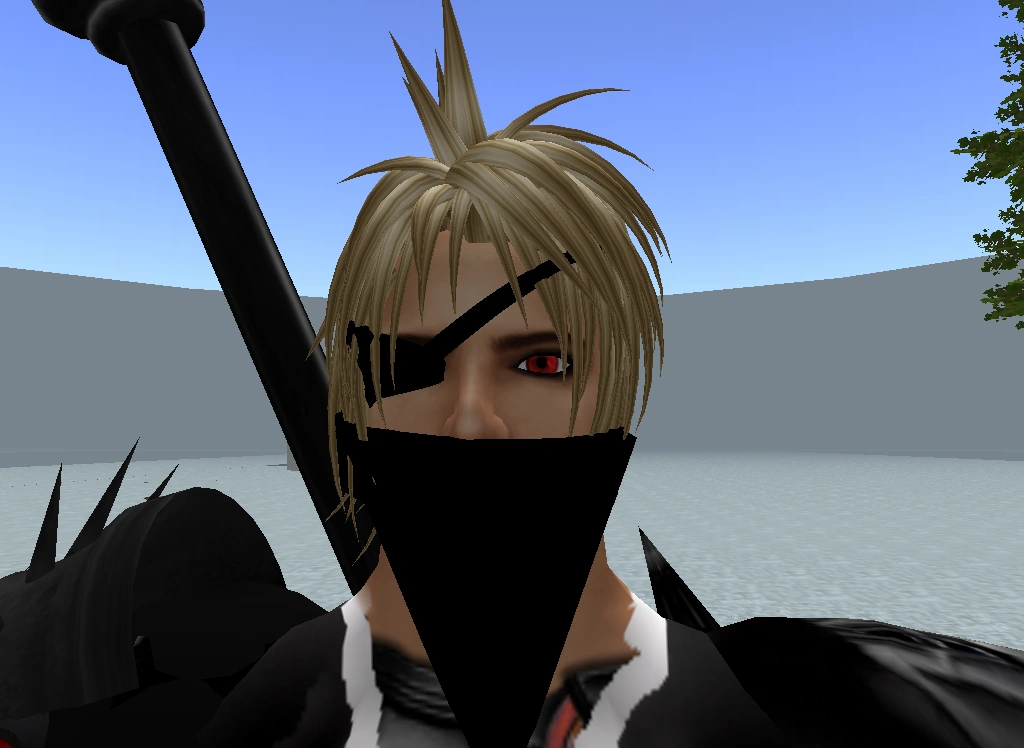 Aroki Miru Samiru | Bleach Reborn, SL RP Sim Wiki | Fandom