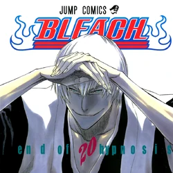 Bleach Manga Cover 20