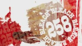 Bleach Episode 258.Stray Snake, Tortured Monkey | Bleach Story Role ...