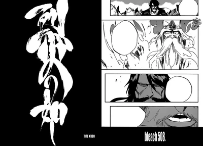 Bleach Chapter 508. 烈火の如 | Bleach Story Role-Play Wiki | Fandom