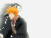 Hohō | Bleach Szerepjáték Wiki | Fandom