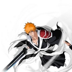 Bleach Samurai