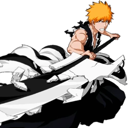 Bleach Samurai