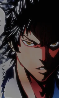 Ryan Kuchiki | Bleach Untold Stories Wiki | Fandom