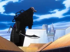 Tenken | Bleach Wiki | Fandom