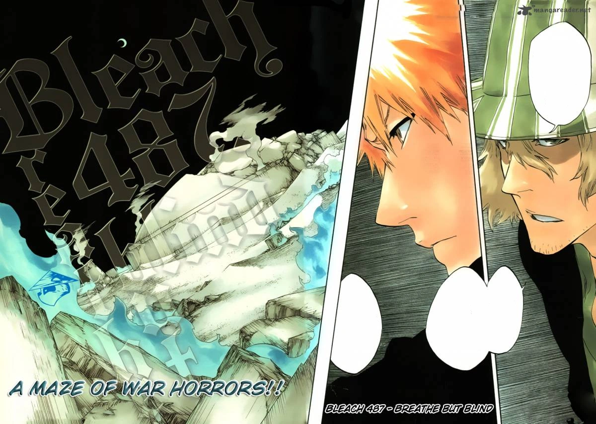 Kapitel 487: Breathe but blind | Bleach Wiki | Fandom