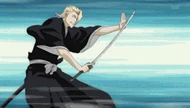 Enkosen | Bleach Wiki | Fandom