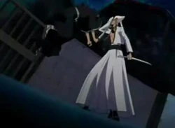 Rukia vs Di Roy | Bleach Wiki | Fandom