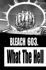 Kapitel 603: What The Hell | Bleach Wiki | Fandom