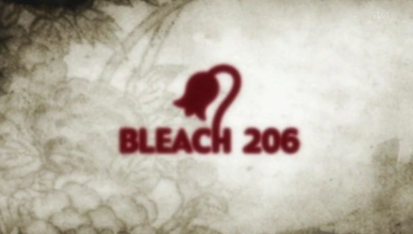 Episode 206 | Bleach Wiki | Fandom