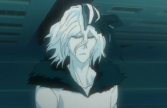Zangetsu | Bleach Wiki | Fandom