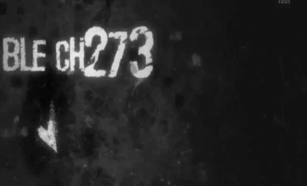 Episode 273 | Bleach Wiki | Fandom