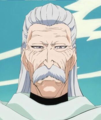 Ginrei Kuchiki | Bleach Wiki | Fandom
