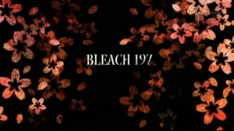 Episode 197 | Bleach Wiki | Fandom