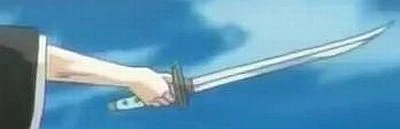 Shinsō | Bleach Wiki | Fandom