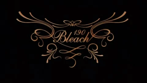 Episode 190 | Bleach Wiki | Fandom