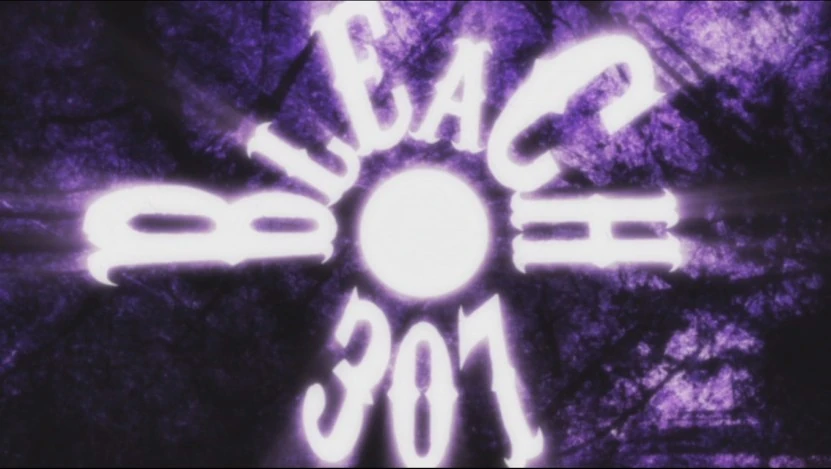 Episode 307 | Bleach Wiki | Fandom