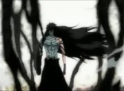 Zangetsu | Bleach Wiki | Fandom