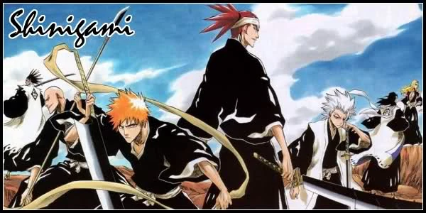 Shinigami | Bleach World Wiki | Fandom