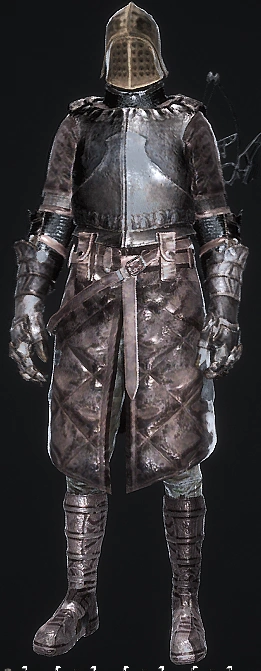 Sentinel Set | Bleak Faith Forsaken Wiki | Fandom