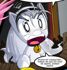 Ppgd Bell Vs Blossom