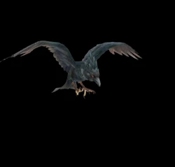 Ominous Crow – Bless Online Wiki