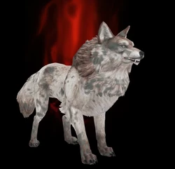 Magically Corrupted Wolf – Bless Online Wiki