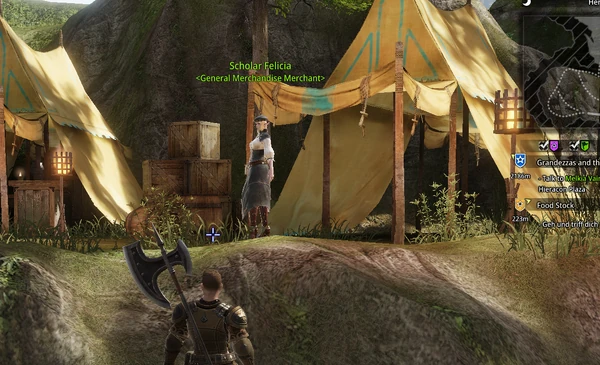 Scholar Felicia – Bless Online Wiki