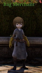 Chest [Bag Piece] - Bless Unleashed Wiki