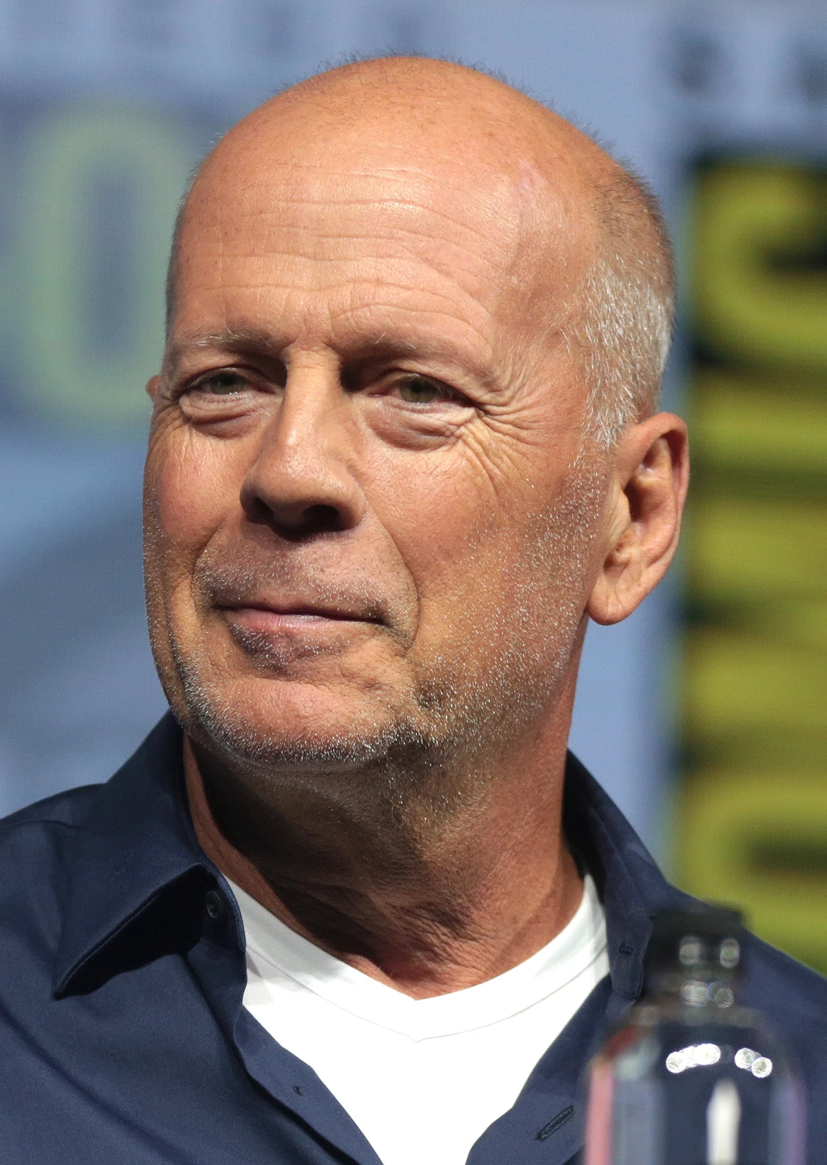 Bruce Willis | Blinding Edge Pictures Wiki | Fandom