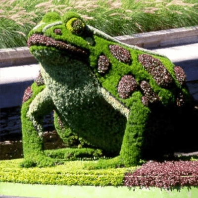 TheScreamingBush | Blissful Championships Wiki | Fandom