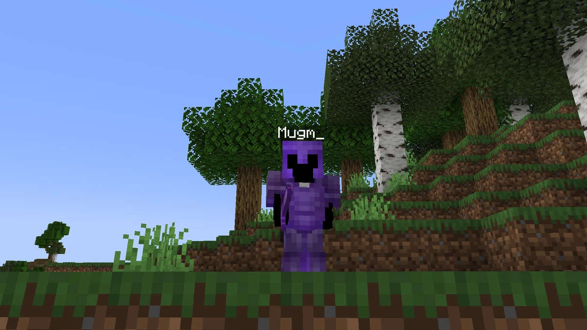 Bliss History (Events) | Bliss Smp Wiki | Fandom