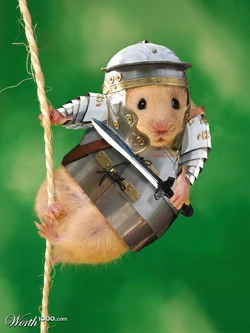 Dooby | Better Layton Never's Wiki | Fandom