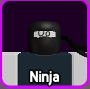 Ninja | Block Mayhem X Wiki | Fandom