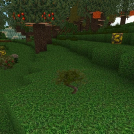 Oak Tree Plant | Block Story Wiki | Fandom