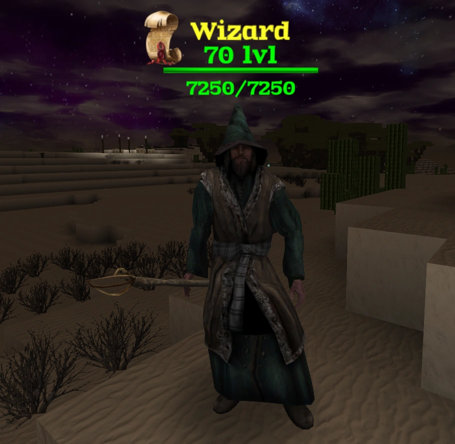 Wizard | Block Story Wiki | Fandom