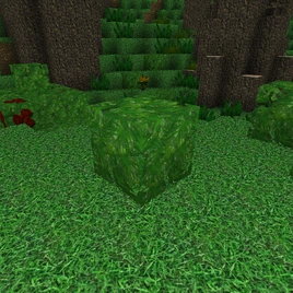 Jungle Leaves | Block Story Wiki | Fandom