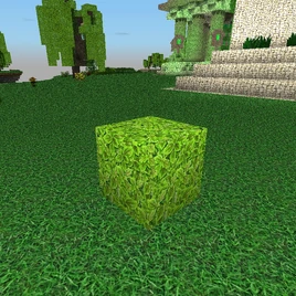 Poplar Leaves | Block Story Wiki | Fandom