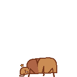 Scarab | Block Tales Wiki | Fandom