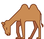 Camel? | Block Tales Wiki | Fandom