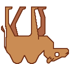 Camel? | Block Tales Wiki | Fandom