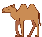 Camel? | Block Tales Wiki | Fandom