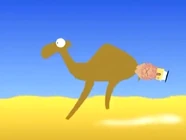 Saloom/Accidents | Block 13 Wiki | Fandom