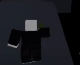 The Real Life Timeline Of Blocky Crew | Blockali123 Wiki | Fandom