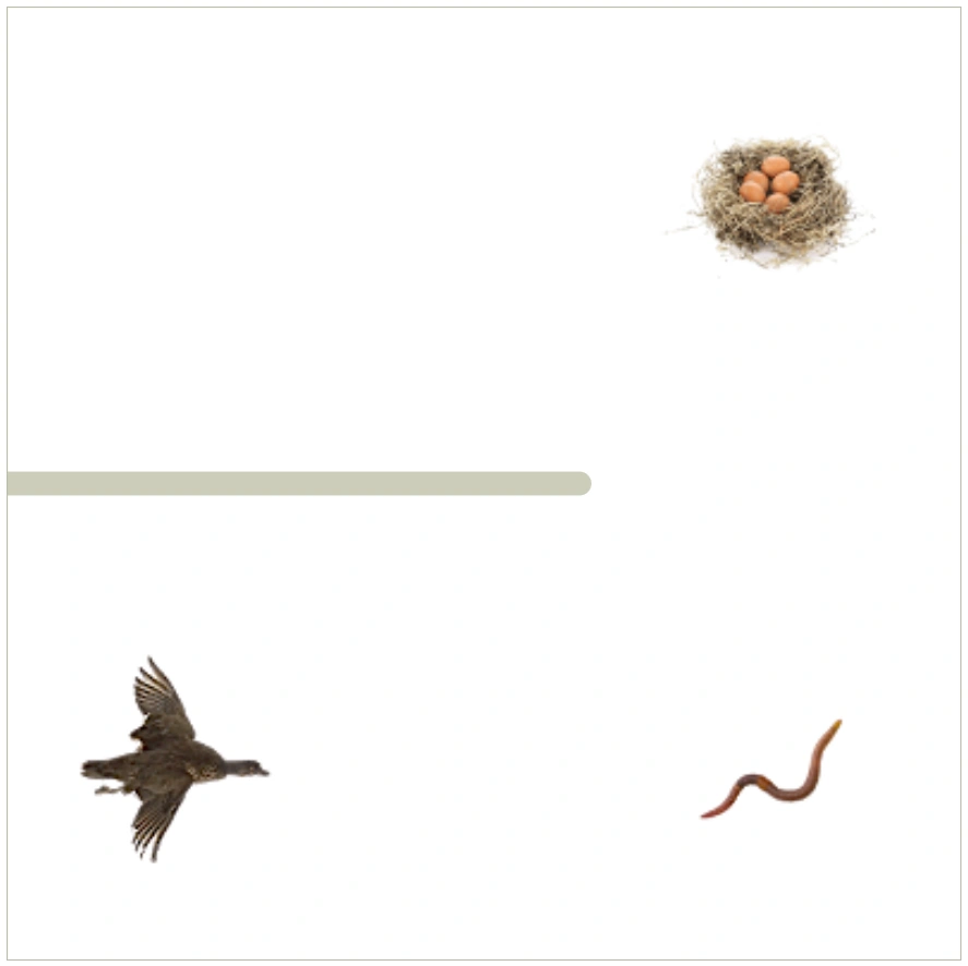 Bird 2 | Blockly games Wiki | Fandom