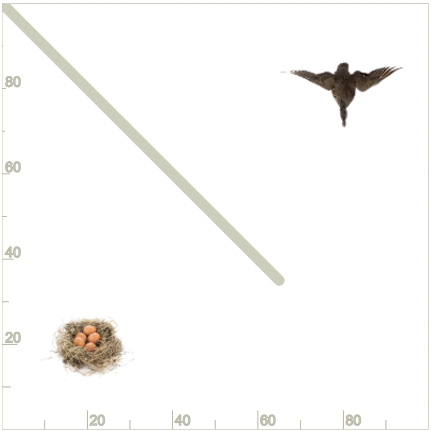 Bird 5 | Blockly games Wiki | Fandom