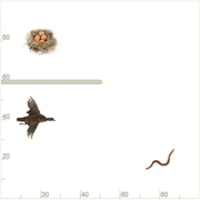 Bird 6 | Blockly games Wiki | Fandom