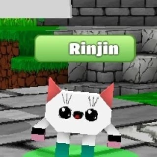 Rinjin | BlockStarPlanet Wiki | Fandom
