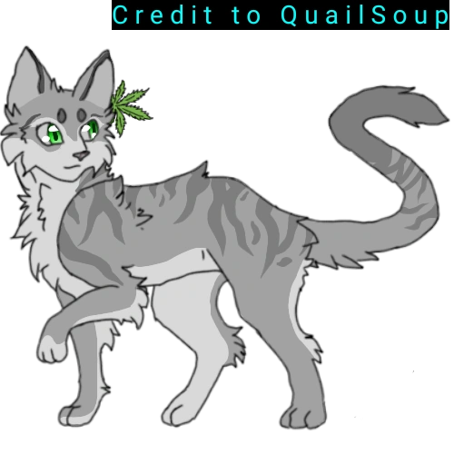 Weedleaf | BlogClan 2 Wikia | Fandom